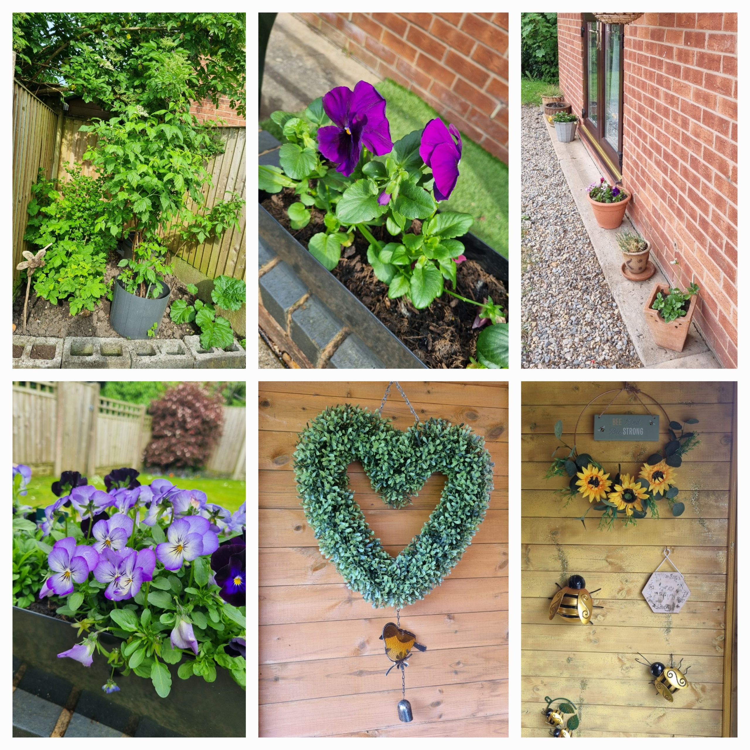 Congratulations to our Garden Competition winners! - Cartref Ni Ltd